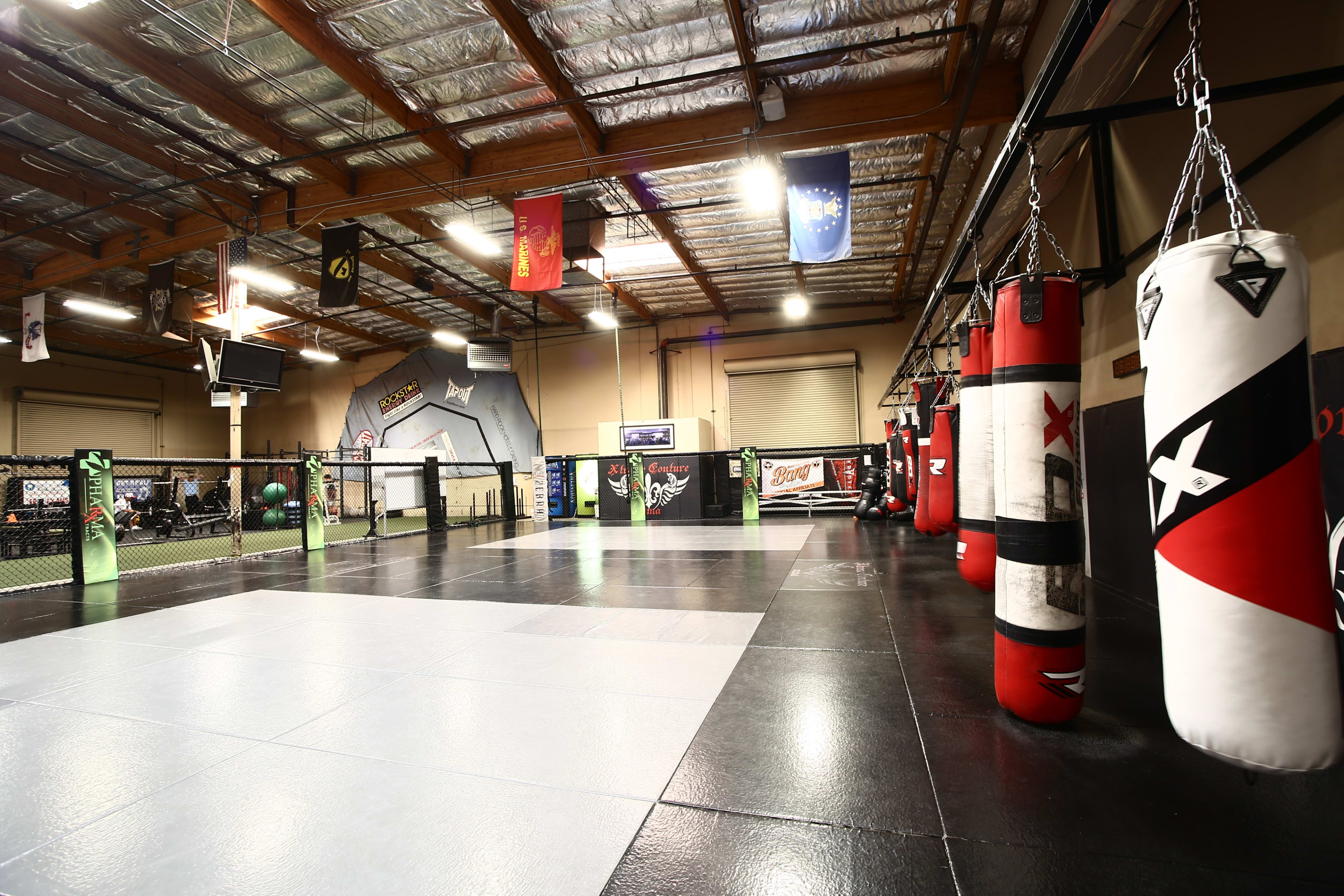 The Best Muay Thai Gyms for Hire in Sydney NSW Peerspace