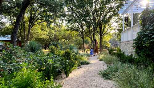 garden grotto austin