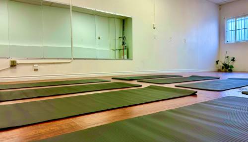 fancy yoga studio