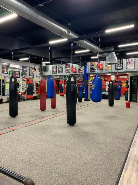 Full Size Boxing Ring For Your Knockout Photo Shoots Or Videos, Lubbock ...