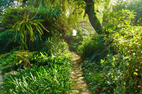 Sacred Gardens LA | Lush Jungle & Outdoor Photo and Video Shoot Space ...