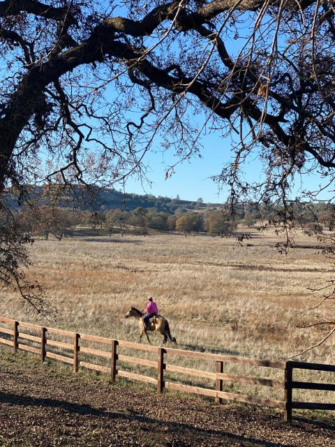 Relaxed Ranch Setting with Expansive Country Views, Ione, CA ...