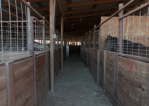 HOUSTON OLD WESTERN VIBES | TEXAS, houston, TX | Production | Peerspace