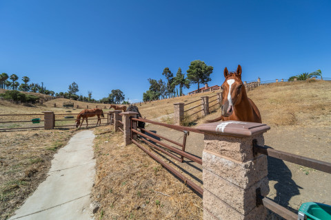 Rustic Horse Ranch with Scenic Views, Murrieta, CA | Production | Peerspace