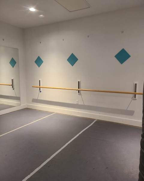 Spring Branch Area Dance Studio with Mirrors, Barres, and Marley Floor ...