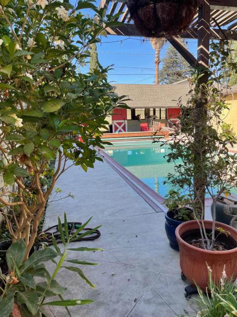 Ranch house with barn, horses and pool (no swimming) for photography ...