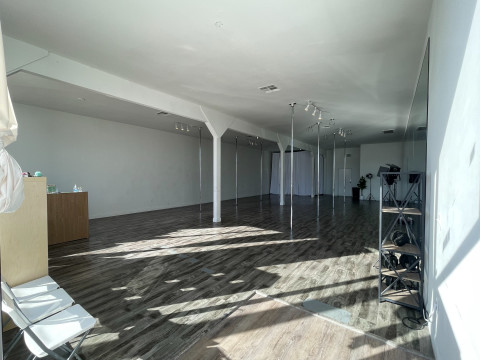 Elevè LA | Bright Open Concept Studio with Floor-to-Ceiling Mirrors ...