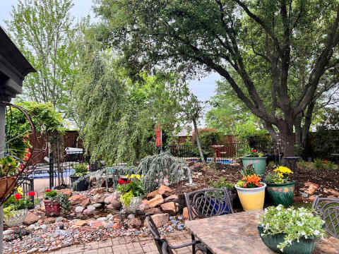 Beautiful Backyard Setting for family or couples photography ...