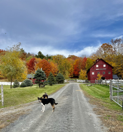 High Ridge Meadows Farm, LLC | Country Mountain View Barn, East ...