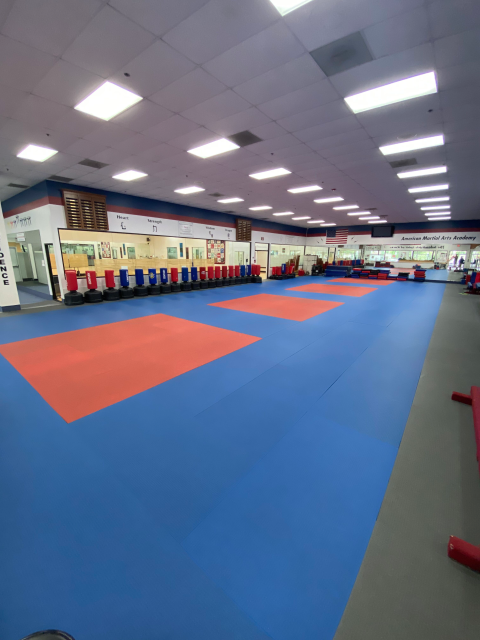 Spacious Studio & Dojo - Wide Open Bright Space with High Ceilings ...