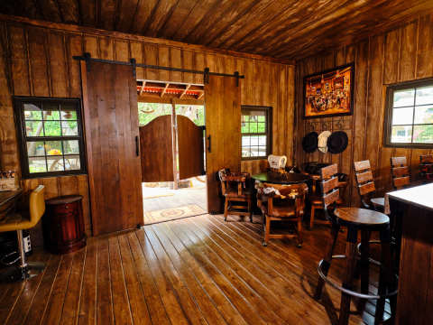 Cowboy Saloon with Photo Studio. Includes Barn, horses, arena, pool ...