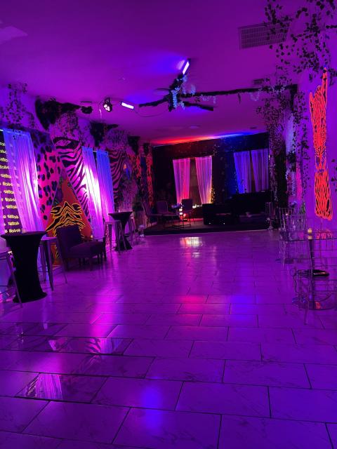 Hush Events | Neon Glow Room – Speakeasy-Style Creative Lounge with ...