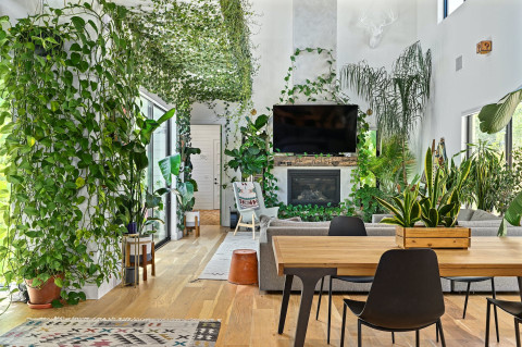 The Austin Greenhouse | Bright & Spacious Designer "Botanical" Home ...