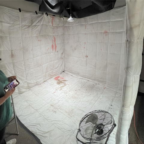 Padded Cell Insane Asylum Mental Institution Ward film set, Arlington ...