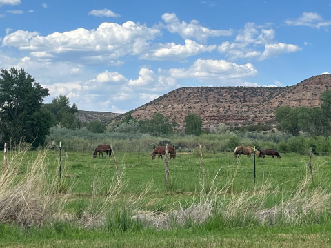 Historic Cattle Ranch/Farm Property, Bluebell, UT | Production | Peerspace