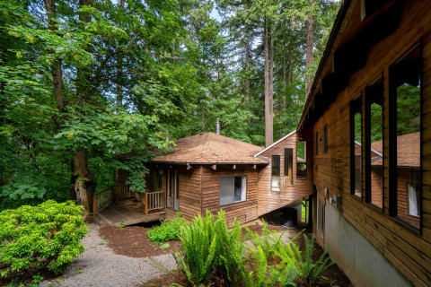 Secluded Forest Cabin – Perfect for Retreats & Creative Shoots ...