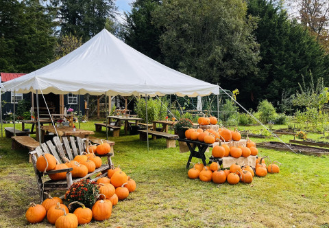 Wardwell Farm¥ | Forest to Farm and Garden Multi-Use Space, Bainbridge ...