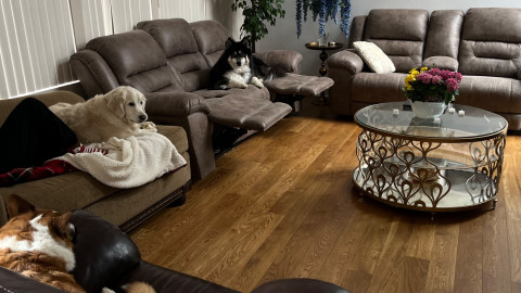 Light and airy comforting space | Minimalistic large comfy living room ...