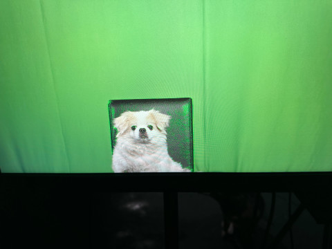 Large and everything you need for GreenScreen set !, Glendale, CA ...