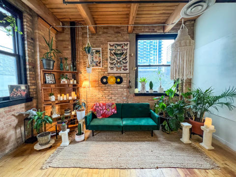 Sunbathed Urban Jungle Green Room for Interviews, Podcasting, Content ...