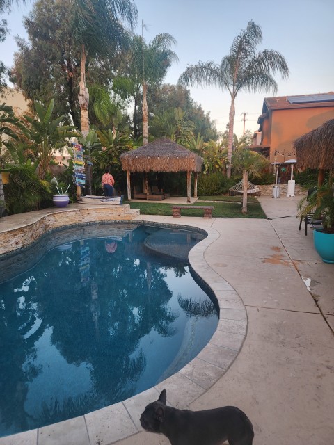 Tropical Oasis, Riverside, CA | Event | Peerspace