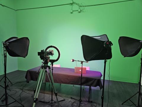 Stunning Green Room Studio in Katy/Houston: Your Premier Destination ...