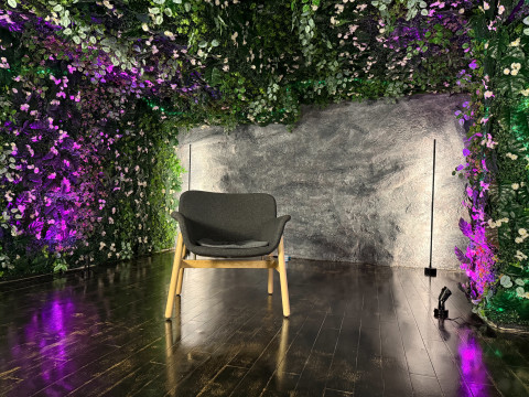 Jungle Studio Room – Photo/Video Shoots, Kelowna | Production | Peerspace