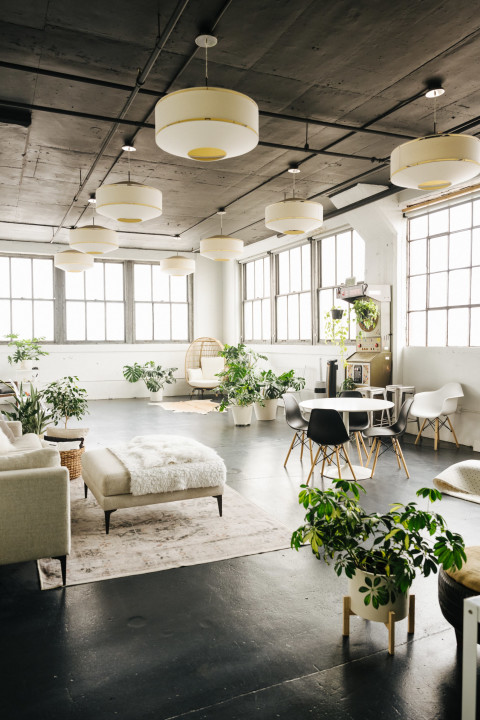 Modern Plant-filled Brightly Lit Photo Studio, Milwaukee, WI ...