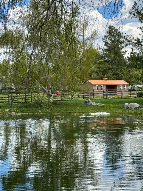 Midway Farm with Scenic Pastures, Pond, and Barn, Midway, UT ...