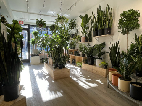 Plant Shop on Dundas St W, Toronto | Production | Peerspace