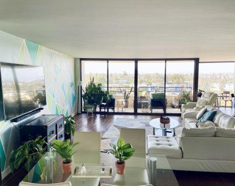 Vibrant Accent Wall Perfect for Commercial, Photo Shoot & Music Video ...