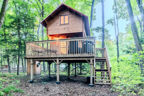 The Taiga Animal Sanctuary | 10 Acres Animal Sanctuary, Sharon ...