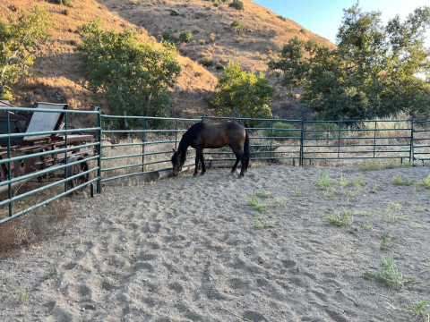 Corona Ranch with beautiful mountain views and animals, Corona, CA ...