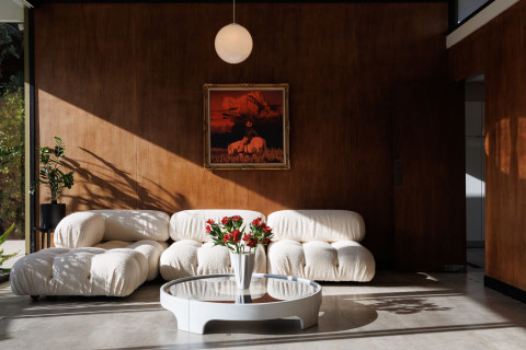 EH Productions | Mid Century Modern Single Story Home with Loads of ...