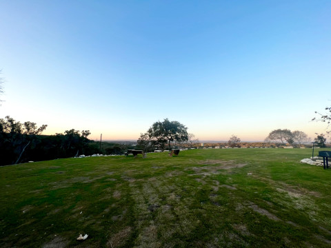 Bird Haus Farms | Field of Dreams- event space on 20 acres in the Texas ...