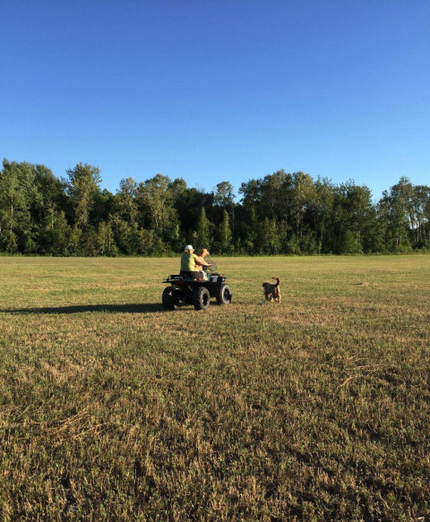 Large property perfect space for outdoor shoots and filming, Lindsay ...