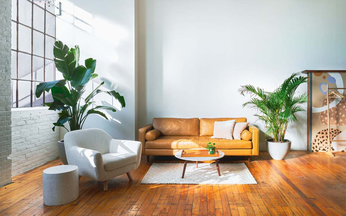 Brick & Boho Plantspace Artist Loft, Toronto | Production | Peerspace