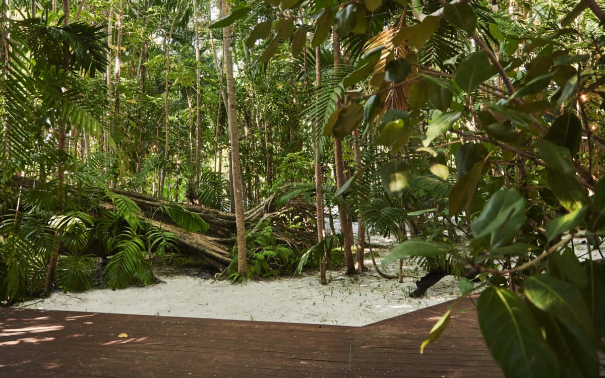 Tropical Jungle Outdoor Location with a heated pool, Miami, FL ...