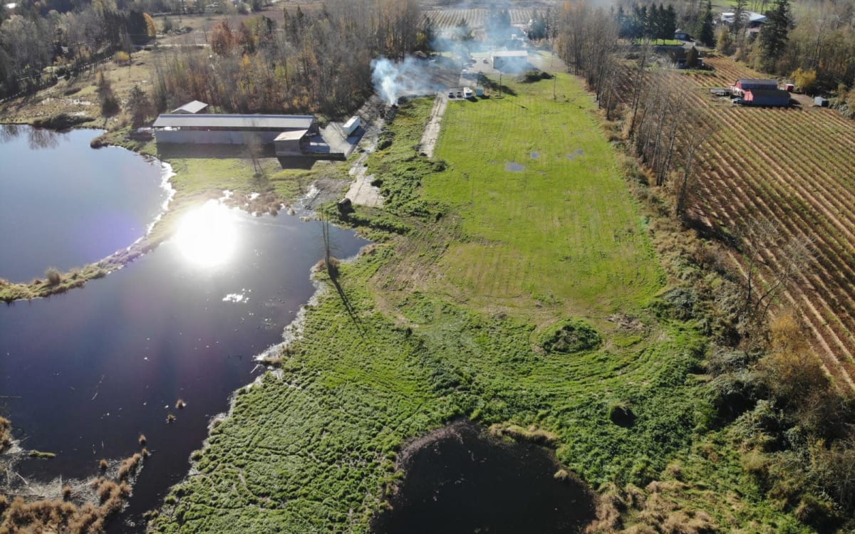 Beautiful Hazelnut orchard with Pond and Tree trails, Aldergrove ...