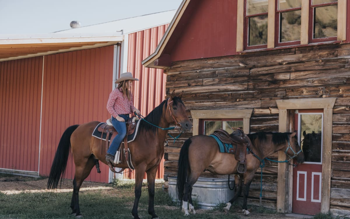 Ranch with beautiful old bard and views of 2 mountain ranges and the ...