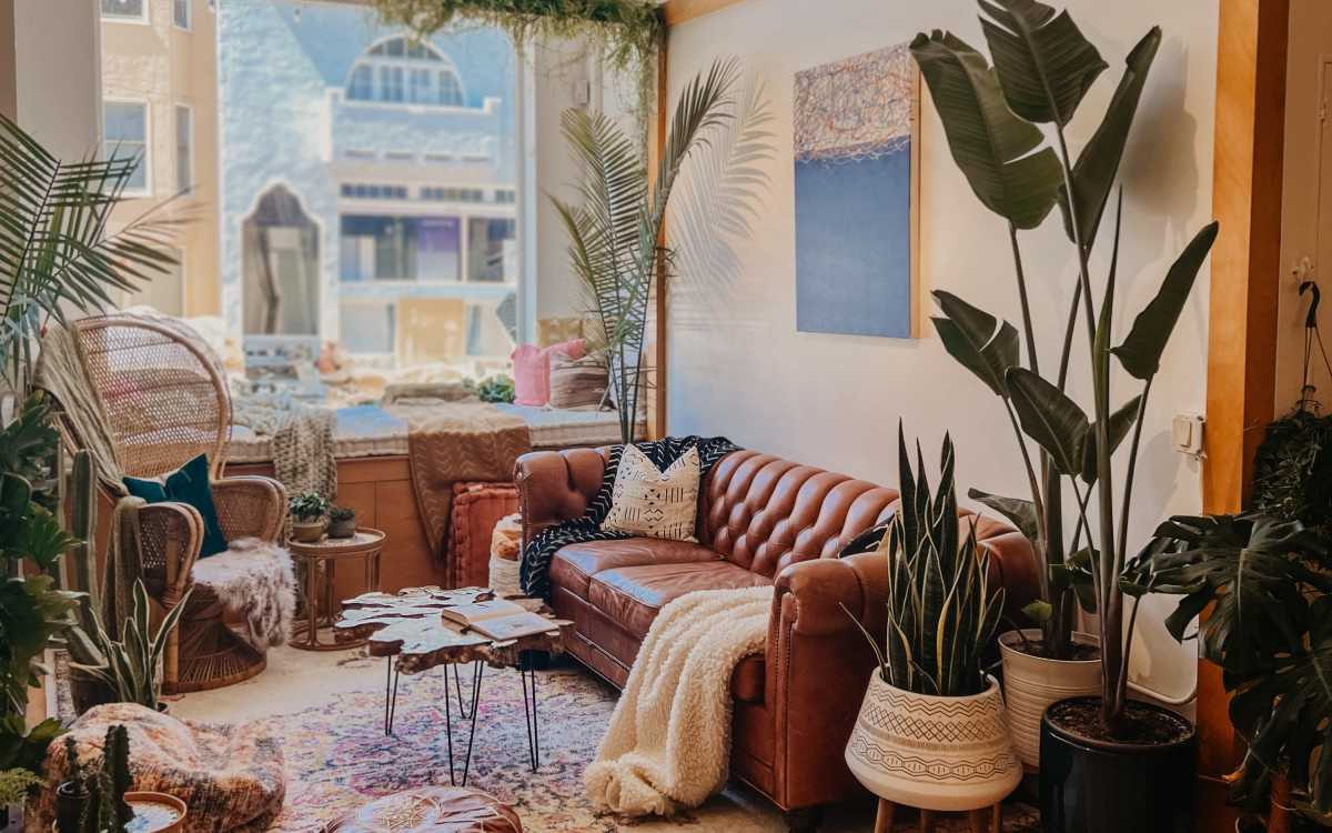Beautiful Plant-filled Community Space in SF's Marina District - The ...