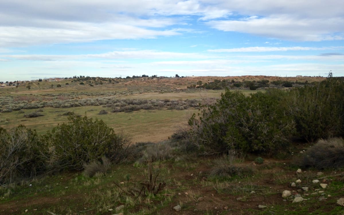 Classic Western Desert Land w/Joshua Trees, Palmdale, CA | Production ...