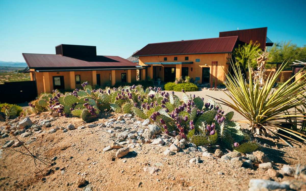 Joshua Tree Luxury Desert Retreat, Inn & Special Events, 1 mile from ...