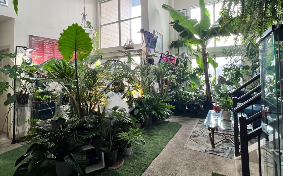 ZC HQ JUNGLE LOFT, Inverness, CO | Production | Peerspace