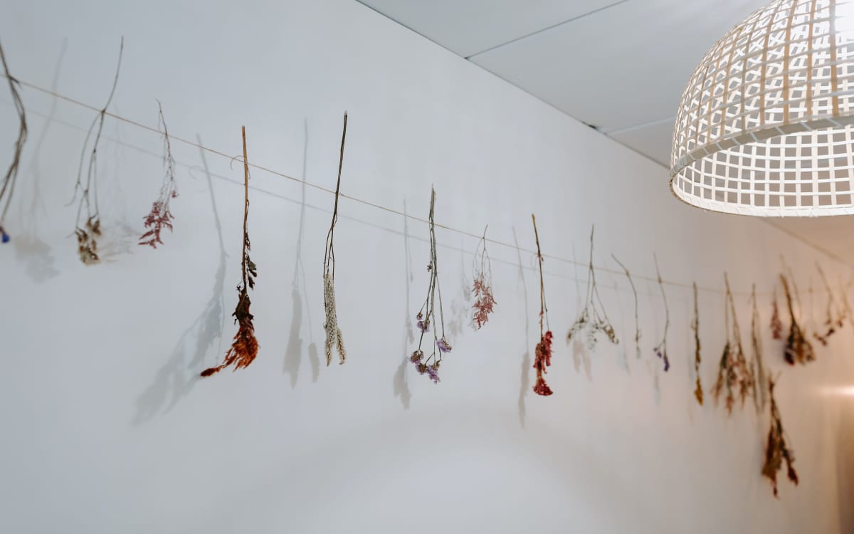 Illuminate Space- romantic, naturally lit studio, Mendota Heights, MN ...