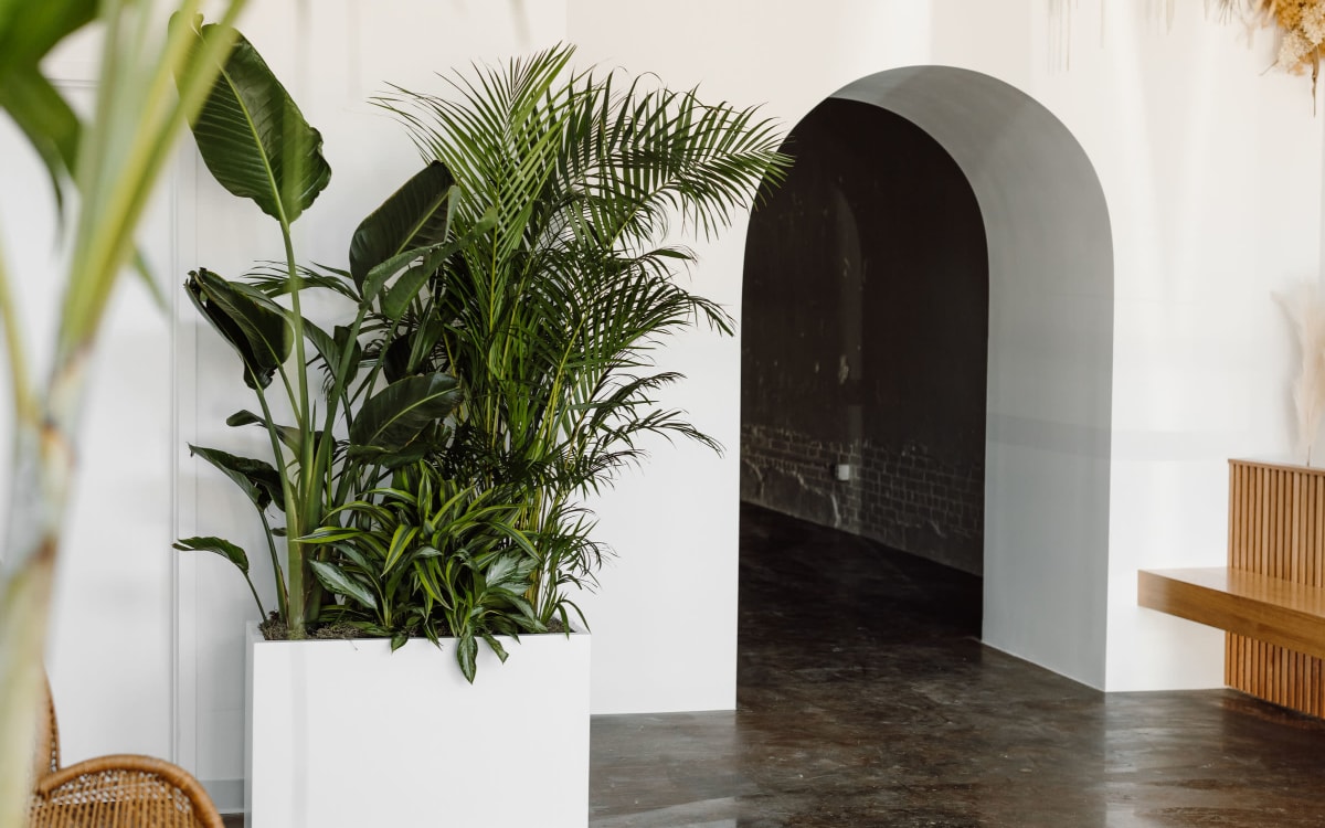 Archive Creative Space | Downtown Modern Minimal Event/Studio Space ...