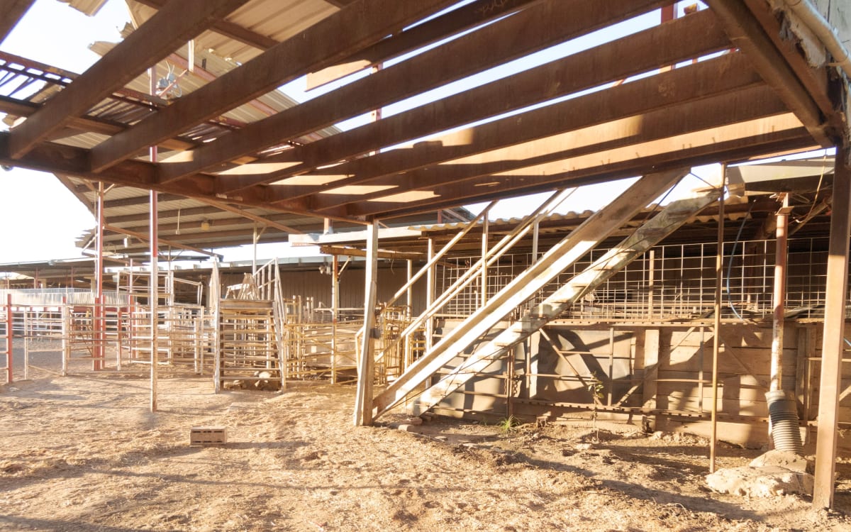 HOUSTON OLD WESTERN VIBES | COWBOYS RANCH TEXAS, houston, TX ...