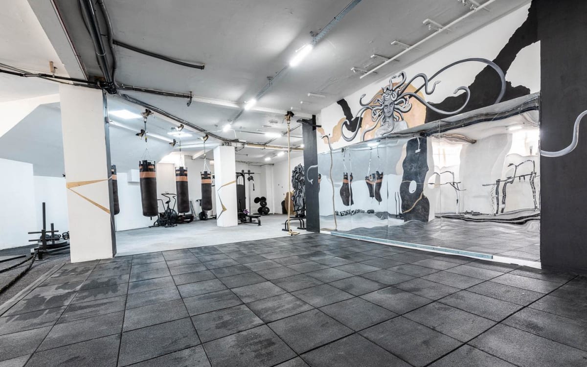 Clean Physical Fitness Gym with Natural Light | Great for Fitness Photo ...