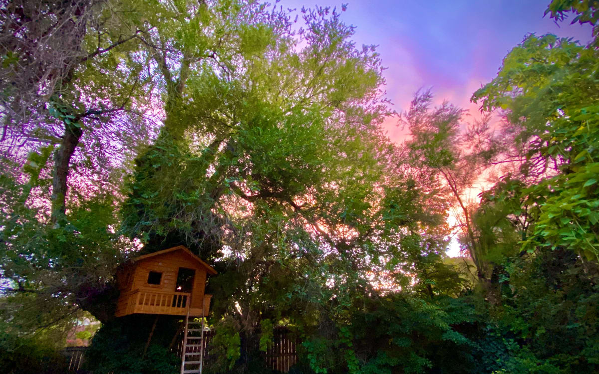 Cute Little Treehouse in a Secluded Backyard., Salt Lake City, UT ...