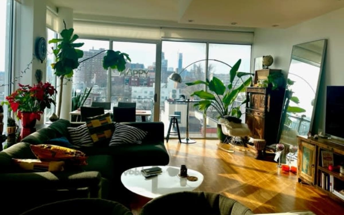 Brooklyn Bed-Stuy spacious apartment with Manhattan skyline view ...